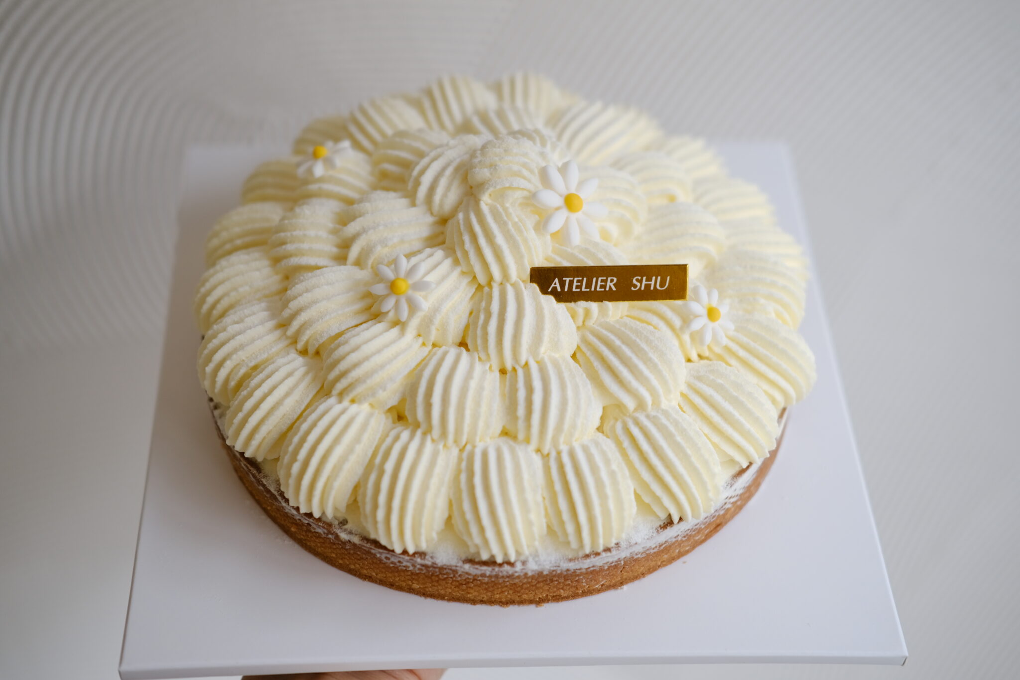 Whole Cakes - Atelier Shu